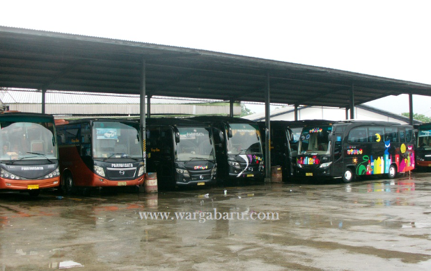 Ini Dia Jadwal Bus Warga Baru 2022 | Harga Tiket
