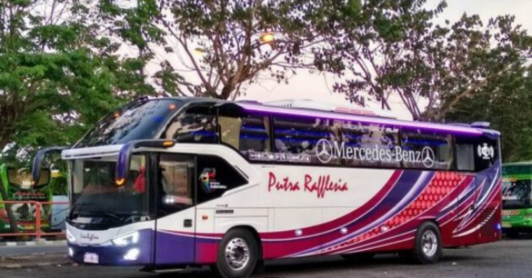 Inilah Harga dan Informasi Paling Lengkap Bus Bengkulu Palembang 2022 ...